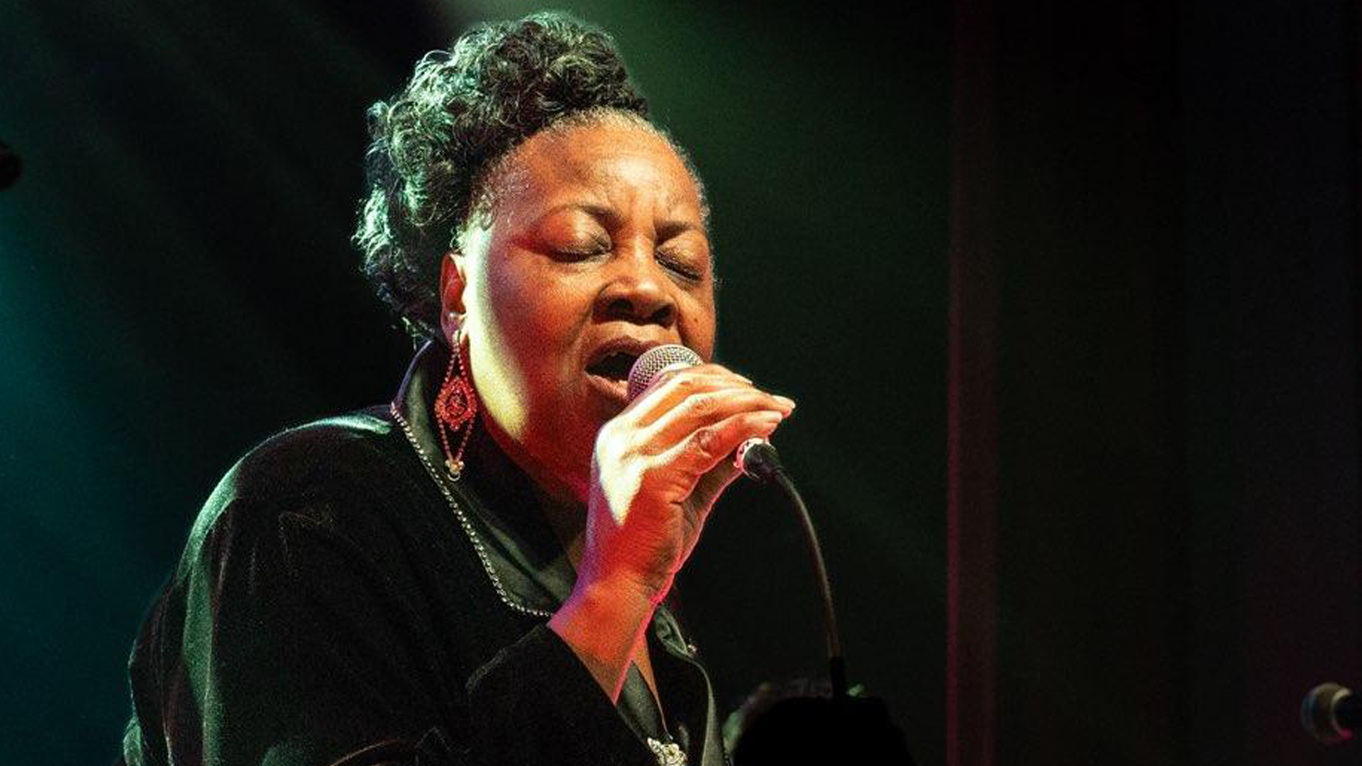 Artists - Waterfront Blues Festival